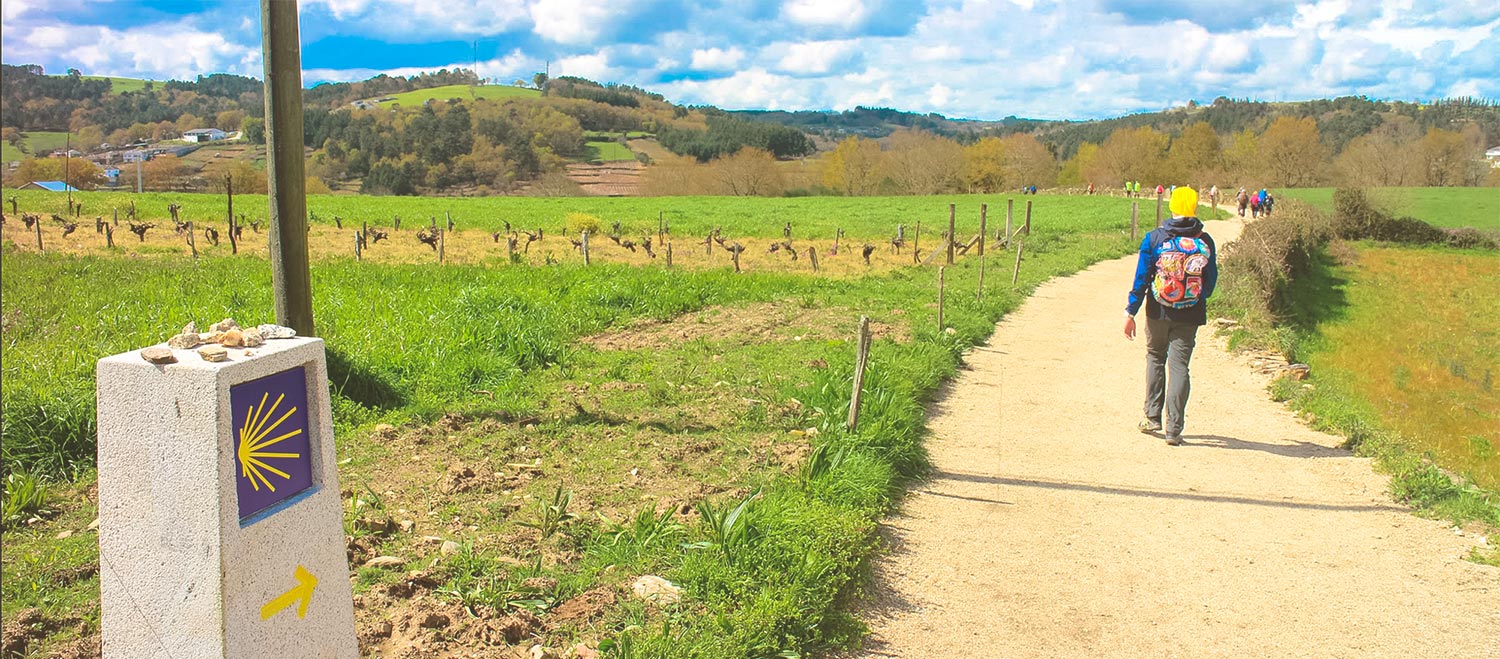 Los últimos 100 km del Camino de Santiago Francés, en una semana!